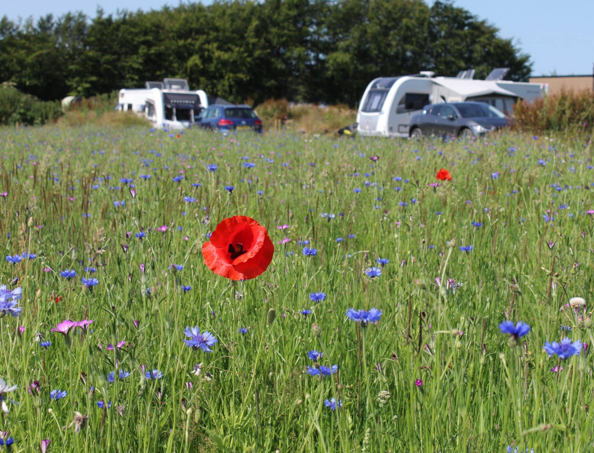 Adults Only Caravan Parks & Touring Parks | Tranquil Parks