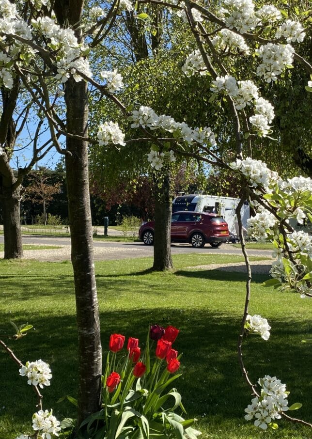 Briarfields Motel and Touring Park | Tranquil Parks | Adults Only