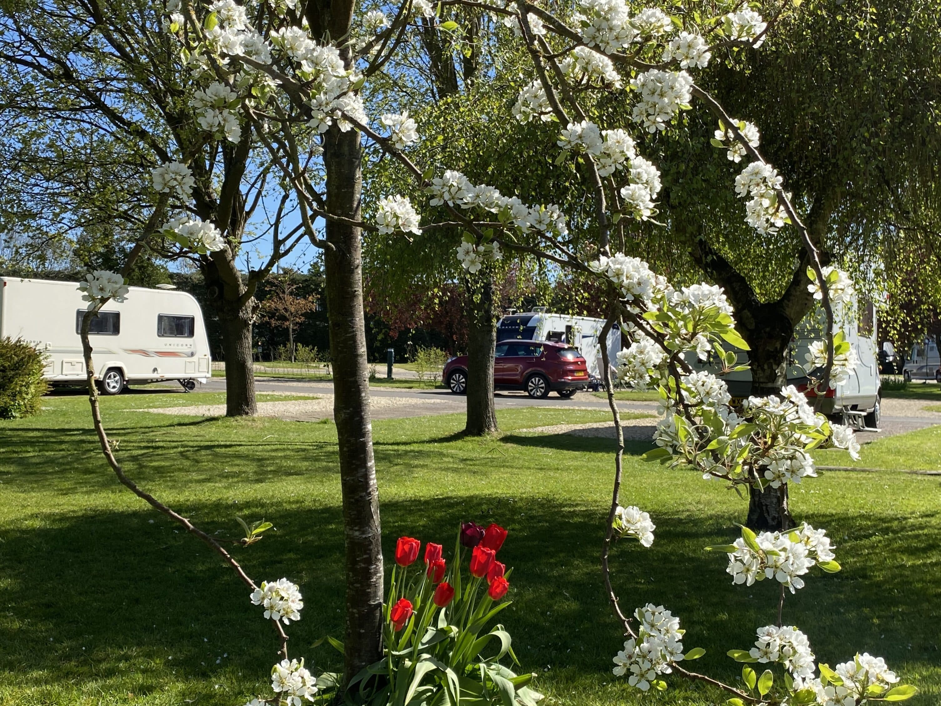 Briarfields Motel and Touring Park | Tranquil Parks | Adults Only