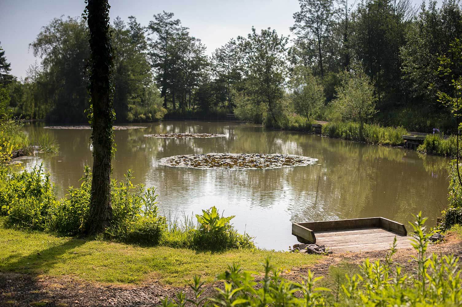 Tranquil Parks joins forces with Chelston Motorhomes