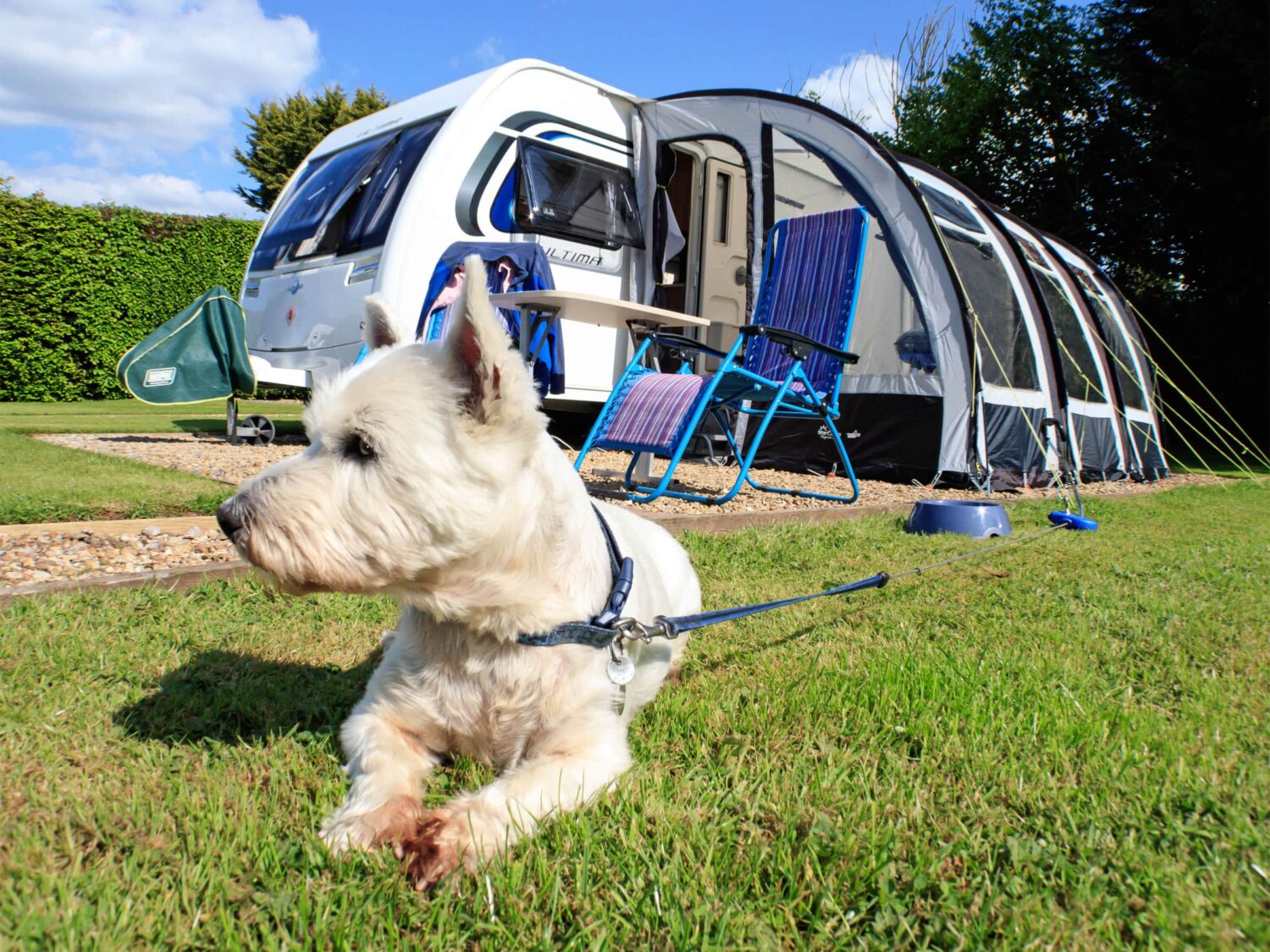 Dog Friendly Caravan Parks | Tranquil Parks